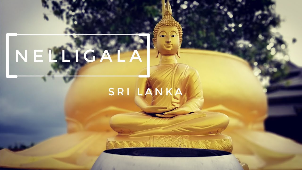 Holiday travel | නෙල්ලිගල | nelligala sri lanka - YouTube