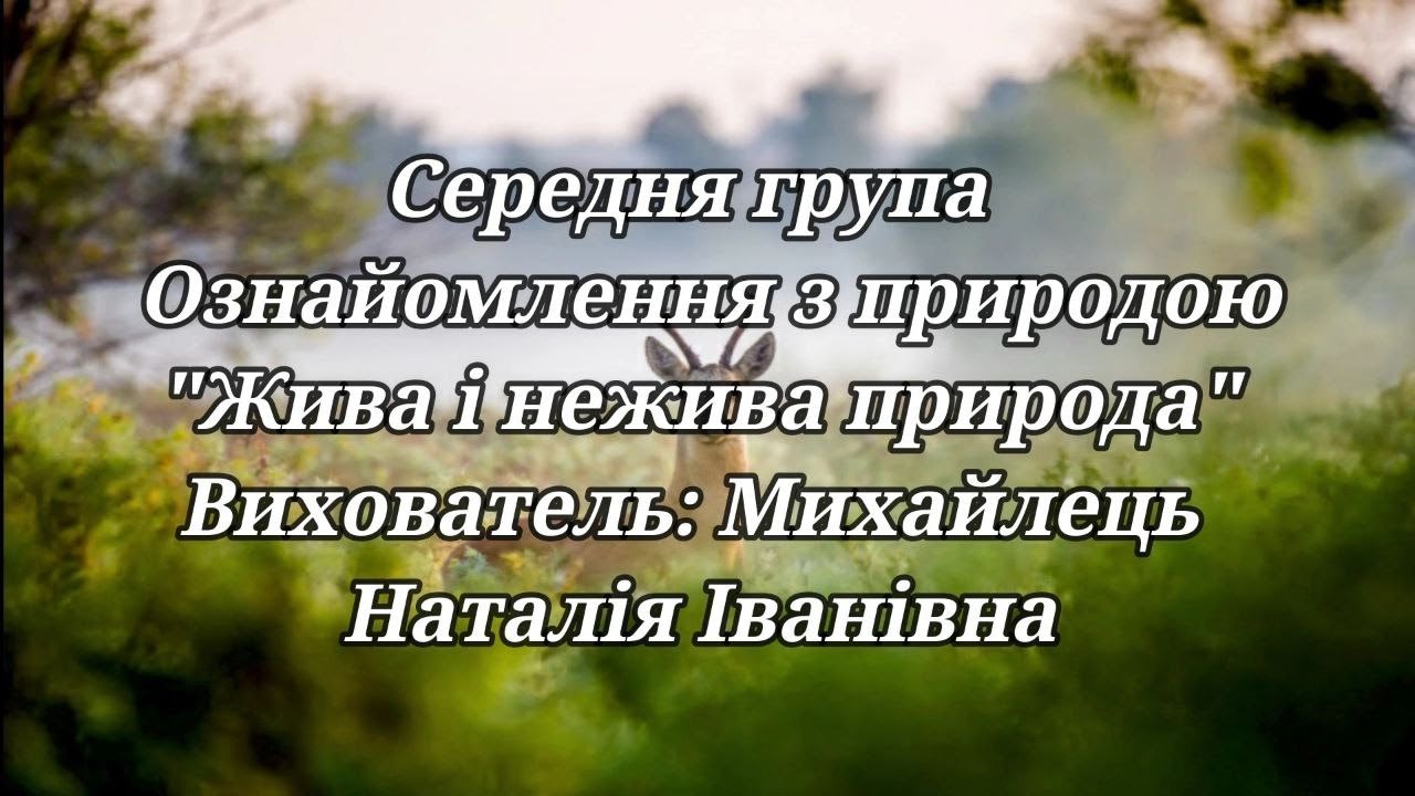 Ознайомлення з природою Жива і нежива природа Середня група Youtube