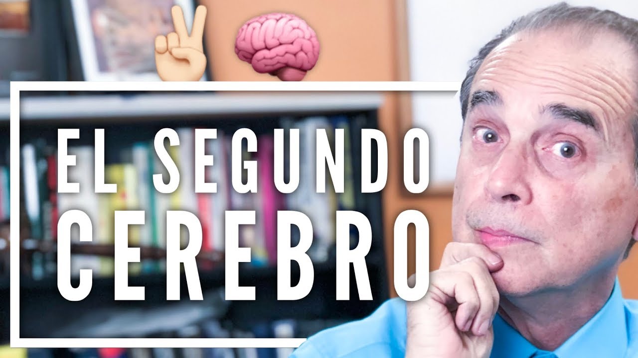 Episodio #1570 El Segundo Cerebro - YouTube