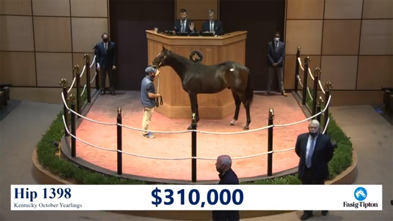 Classic Empire colt sells for $310,000 at Kentucky October Yearlings ...