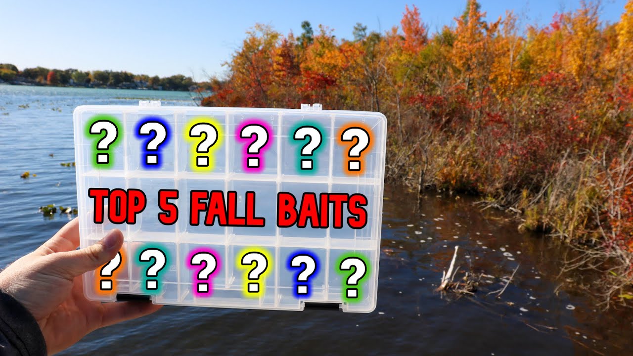 Top 5 Fall Baits! Catch 10x MORE Bass This Fall - YouTube