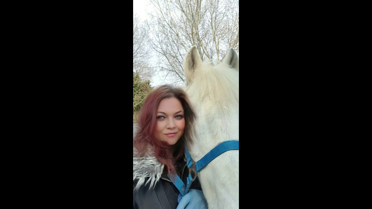 A day in a life of an equestrian 🐴 - YouTube