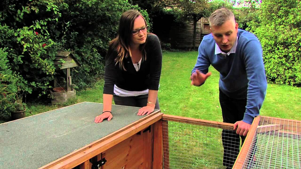 Essential Rabbit Guide Part 5:Companionship - YouTube