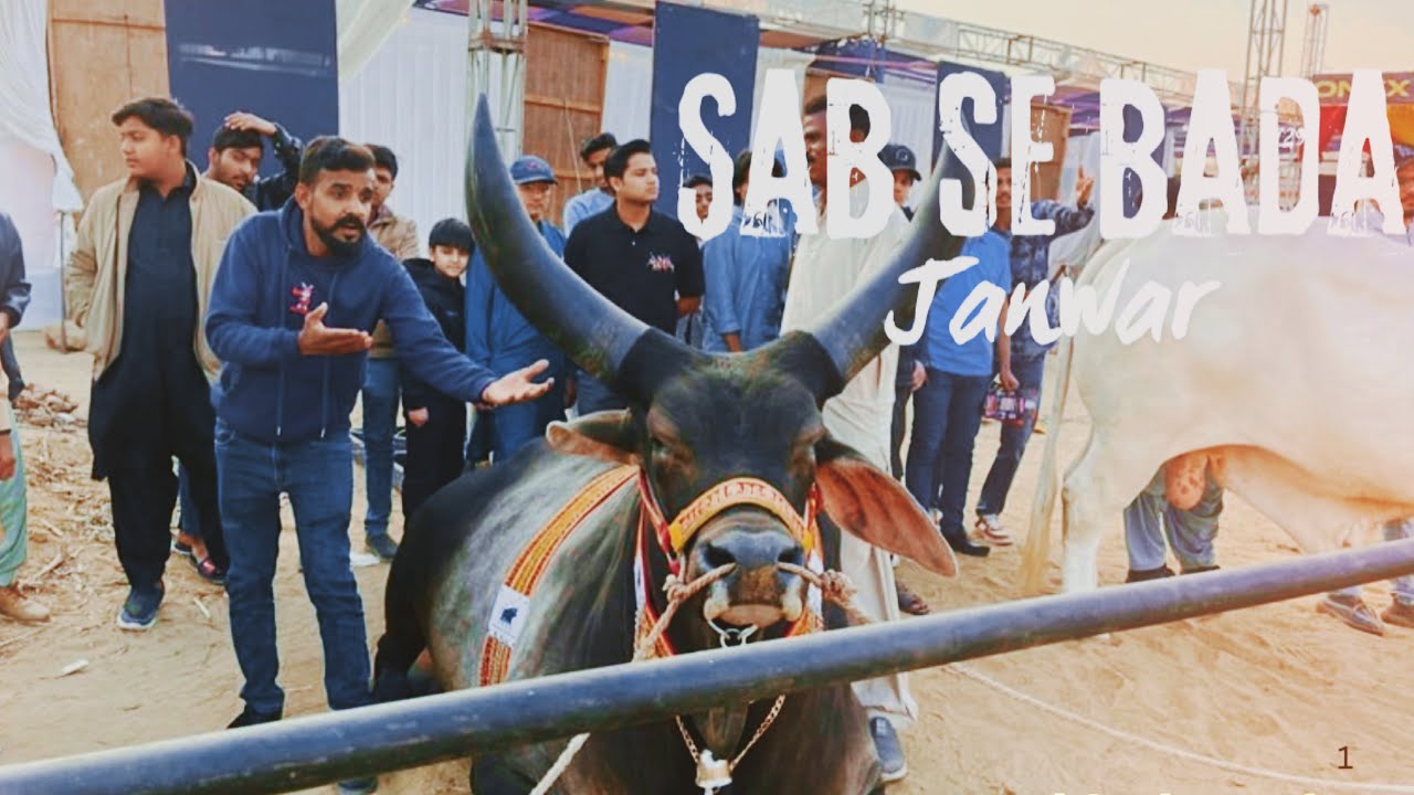 Expo center ka sab se bada janwar ️🫨| itne bade bade janwar mashallah ...