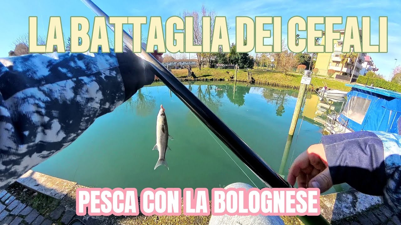 🔴 CEFALI COL VERME IN FIUME - PESCA A BOLOGNESE - YouTube