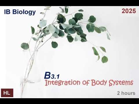 IB Bio 2025 C3.1 Integration of Body Systems HL Note #ib #ibbiology # ...