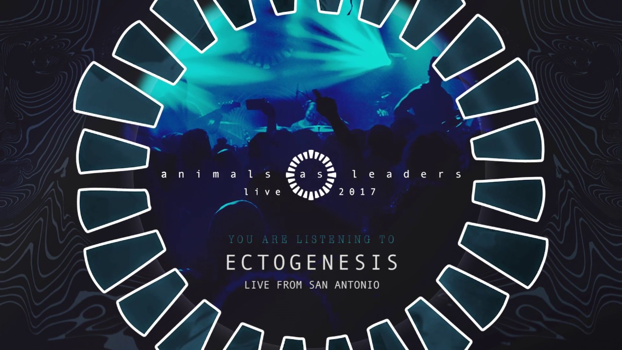 ANIMALS AS LEADERS - Ectogenesis (Live from San Antonio) - YouTube