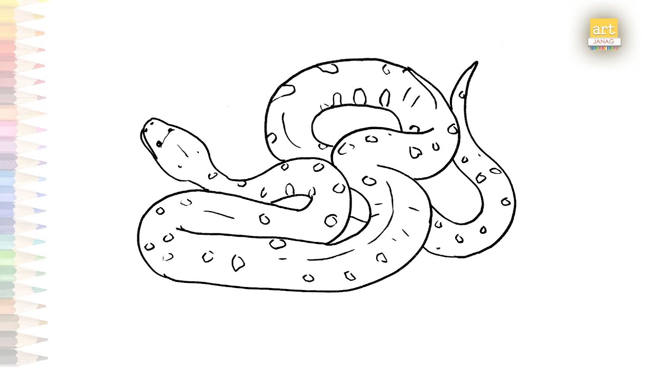 Anakonda snake drawing | snake drawing tutorials | How to draw Anakonda ...