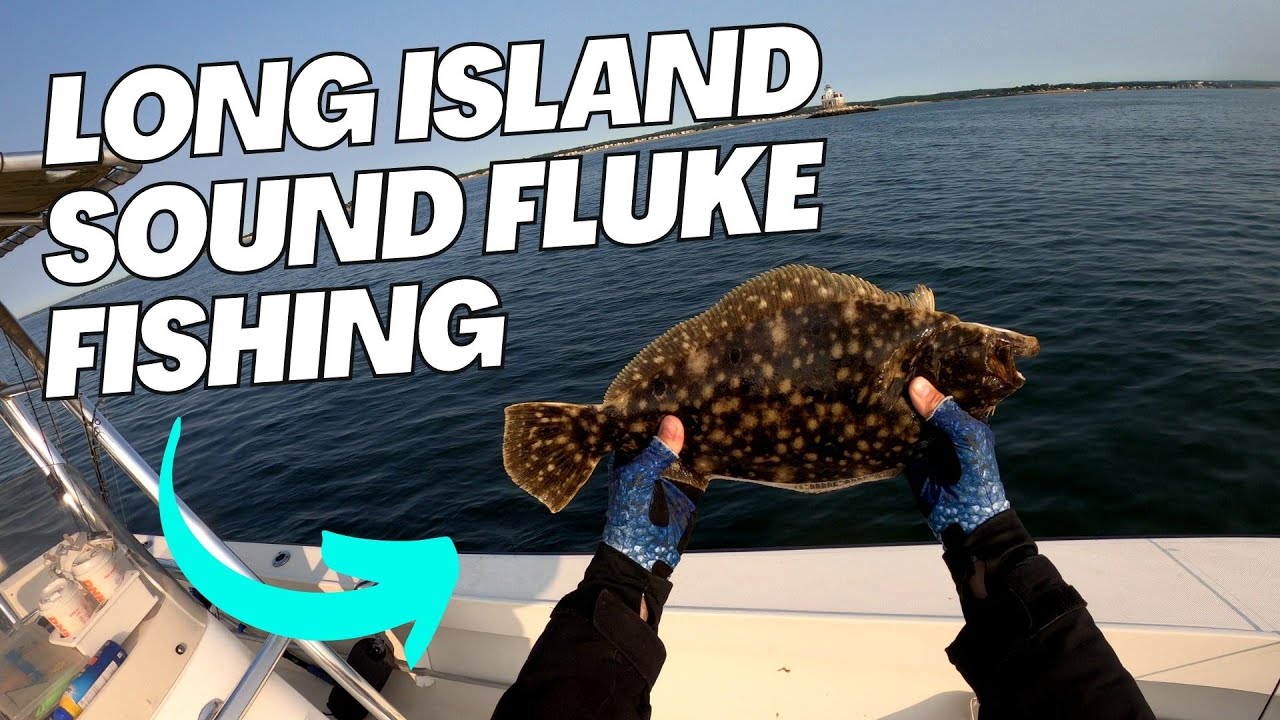 Fluke fishing in Long Island Sound (Plus Stripers!) - YouTube