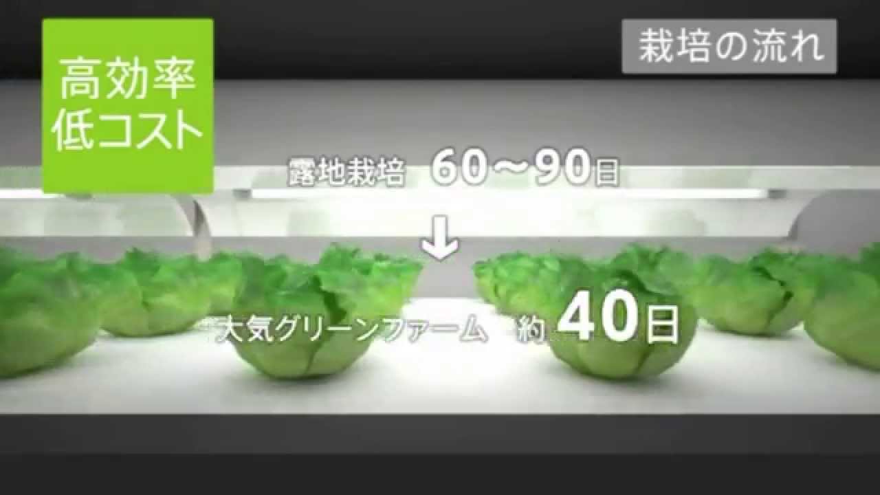 HYPER ORGANIC - RRFARN GREEN FARM - YouTube