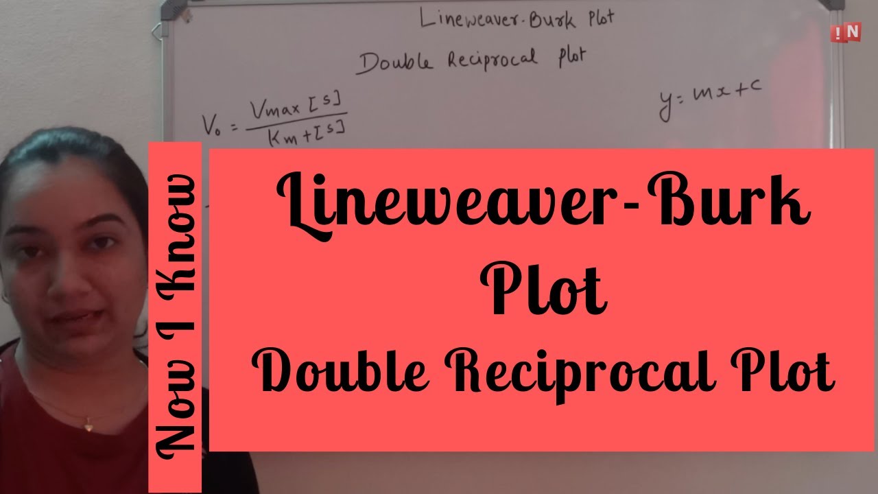 Lineweaver Burk Plot – Double Reciprocal Plot - YouTube
