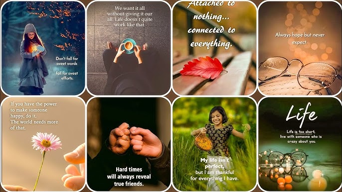 Whatsapp Dp Of Quotes