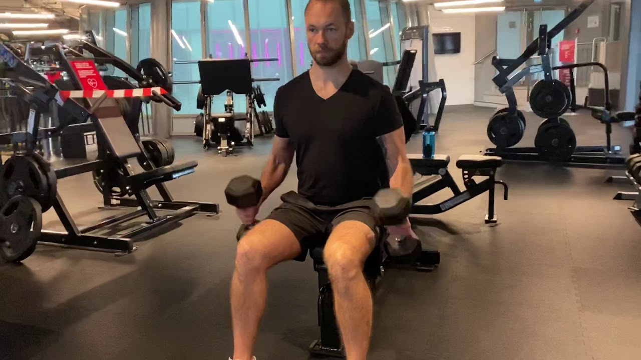 Hammer Curls Seated YouTube hammer-curls-seated-youtube