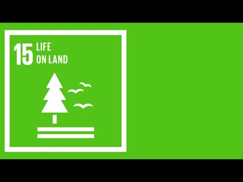 LIFE ON LAND (SDG-15) Sustainable Development Goals - YouTube