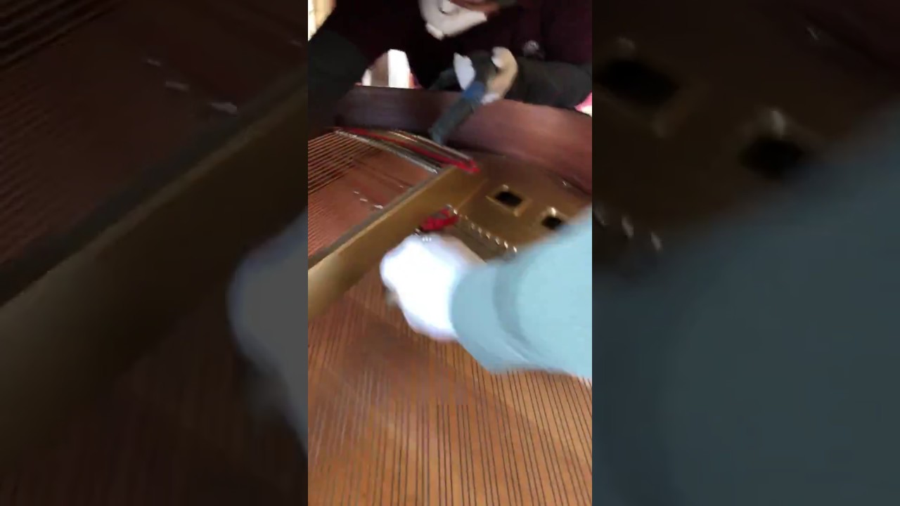 Piano string cleaning and conditioning at Amadeus Piano Co., L.L.C ...