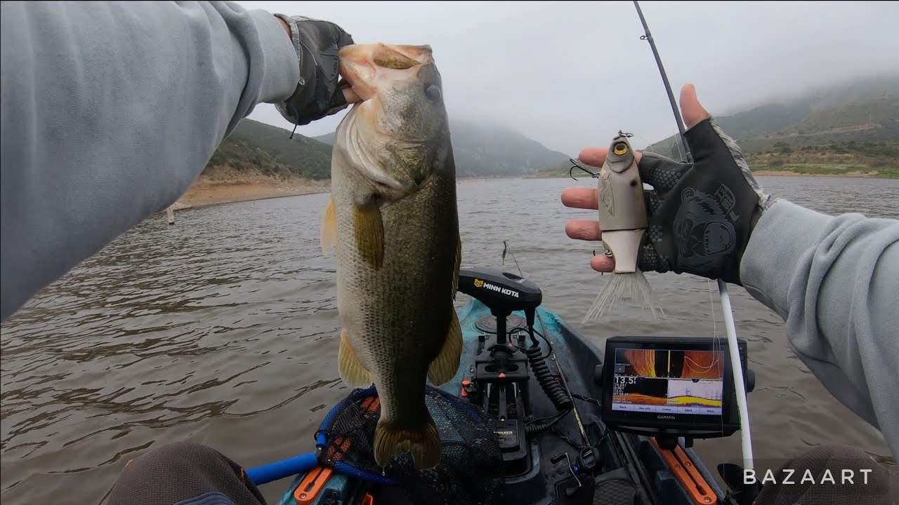 Fishing CHATTER BAIT and CHAD SHAD For LOTS BASS || KGB Swim Bait - YouTube