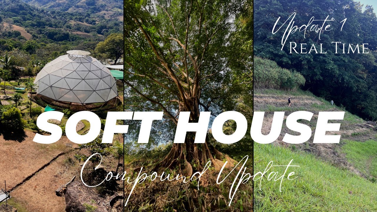 Soft House Compound Update 1 - YouTube