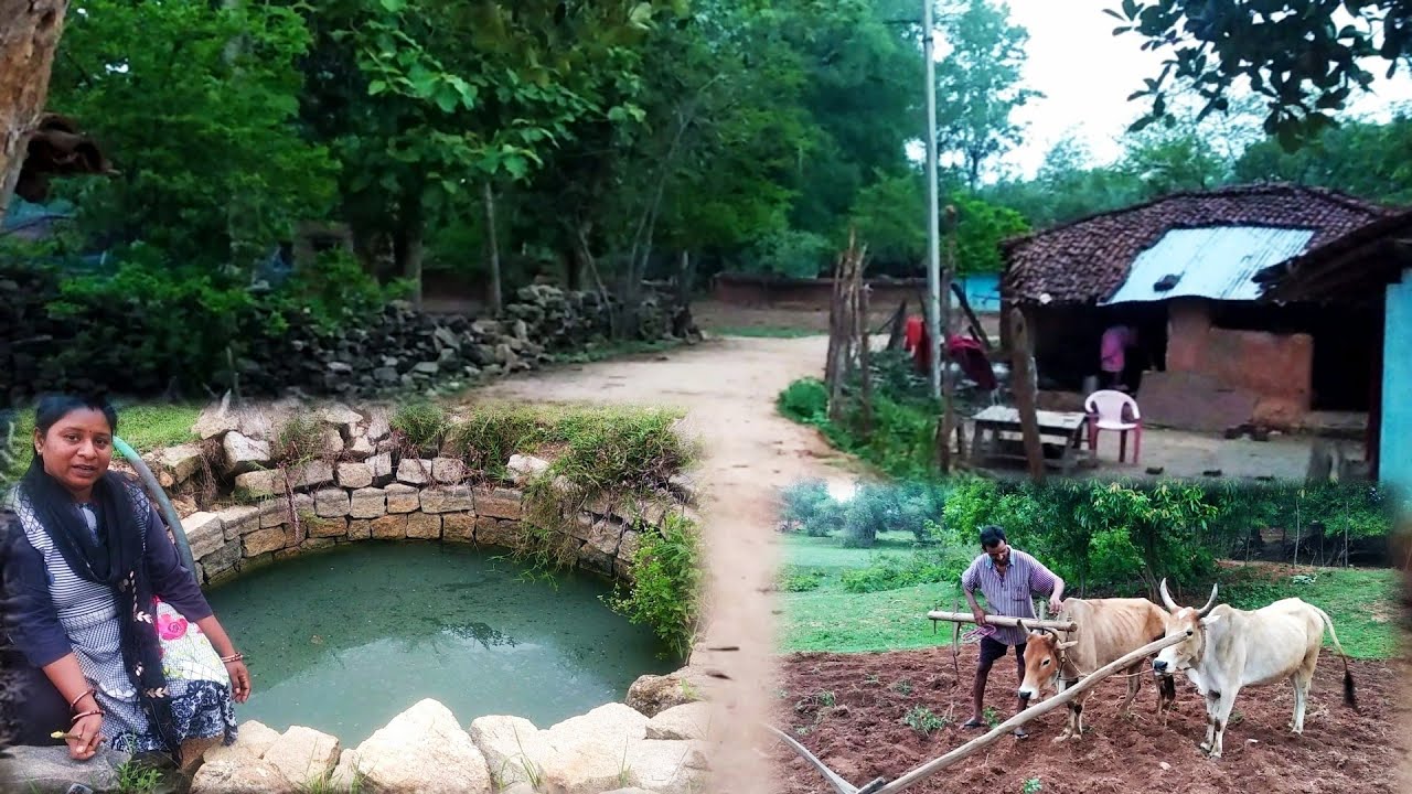 village daily life morning routine/Indian village life/ गांव का खूबसूरत ...