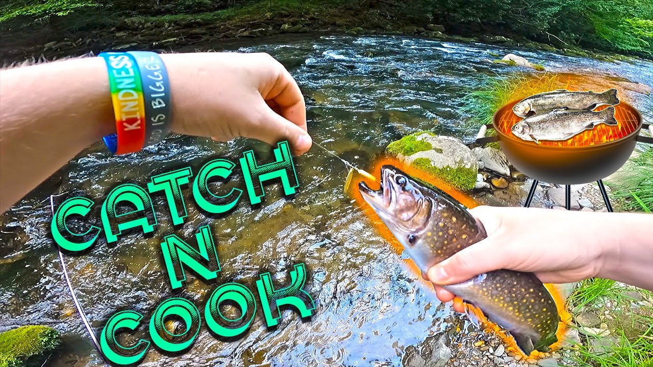 CATCH AND COOK TROUT! Fishing Nantahala River in NC! - YouTube
