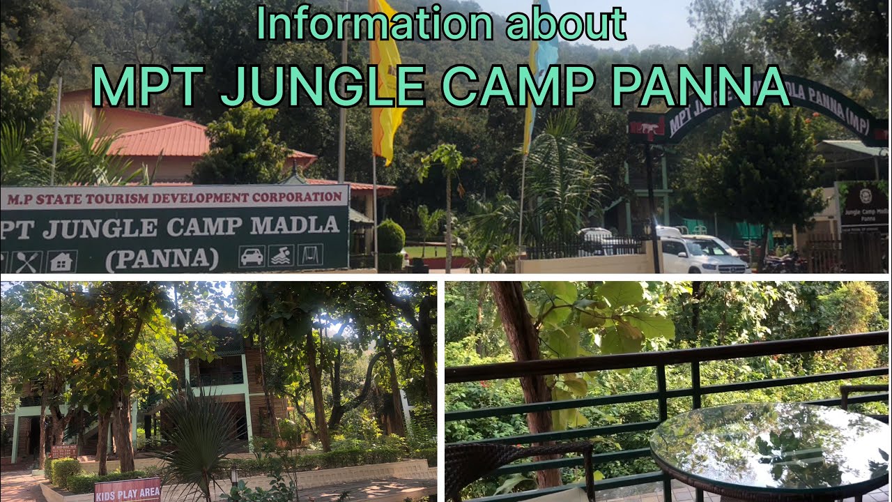 পাহাড় জঙ্গলের পাশে MPTJungle Camp Madla Panna, Best FRH in Panna Tiger ...