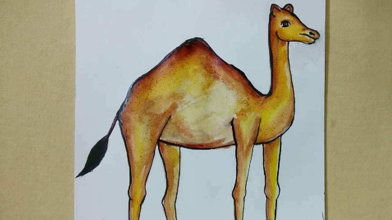 #Nidal_drawing. How to draw camel.easy camel colourful drawing. camel ...