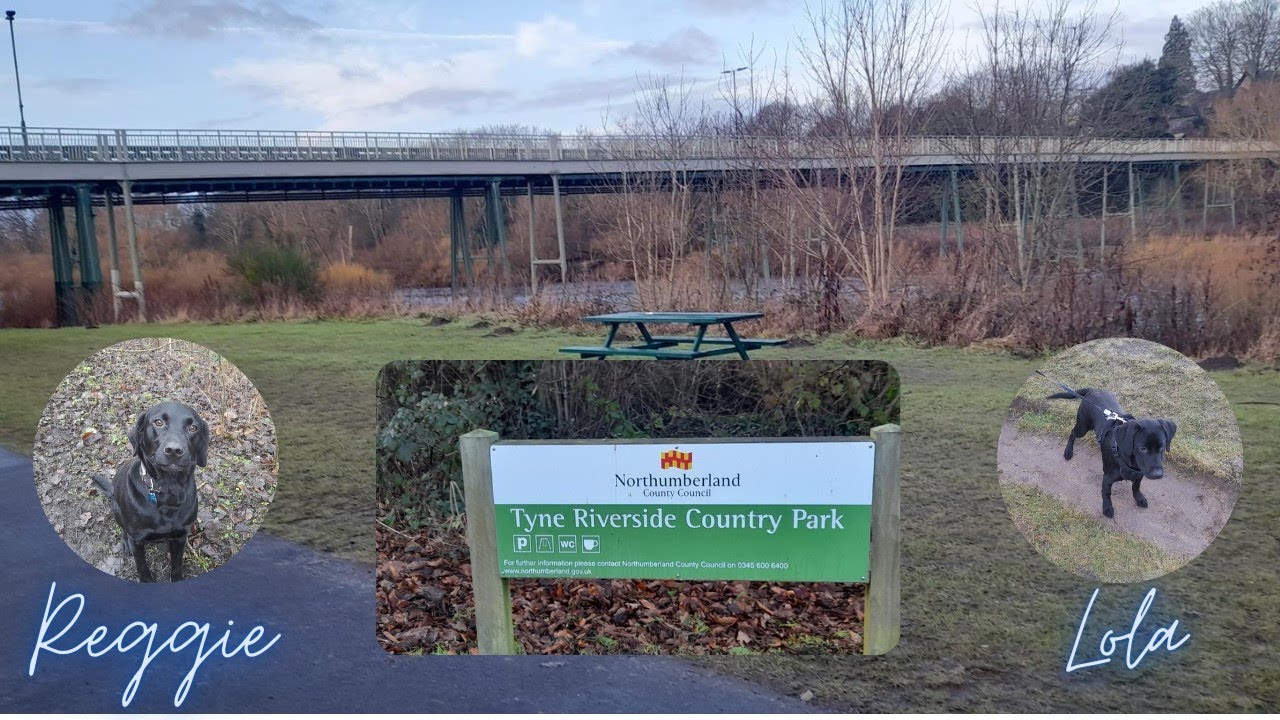 Tyne Riverside Country Park Walk - YouTube