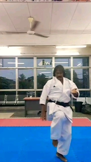 SAIFA Kata Practice By Shihan K Ananthan 👍 || Goju-Ryu Karate ...