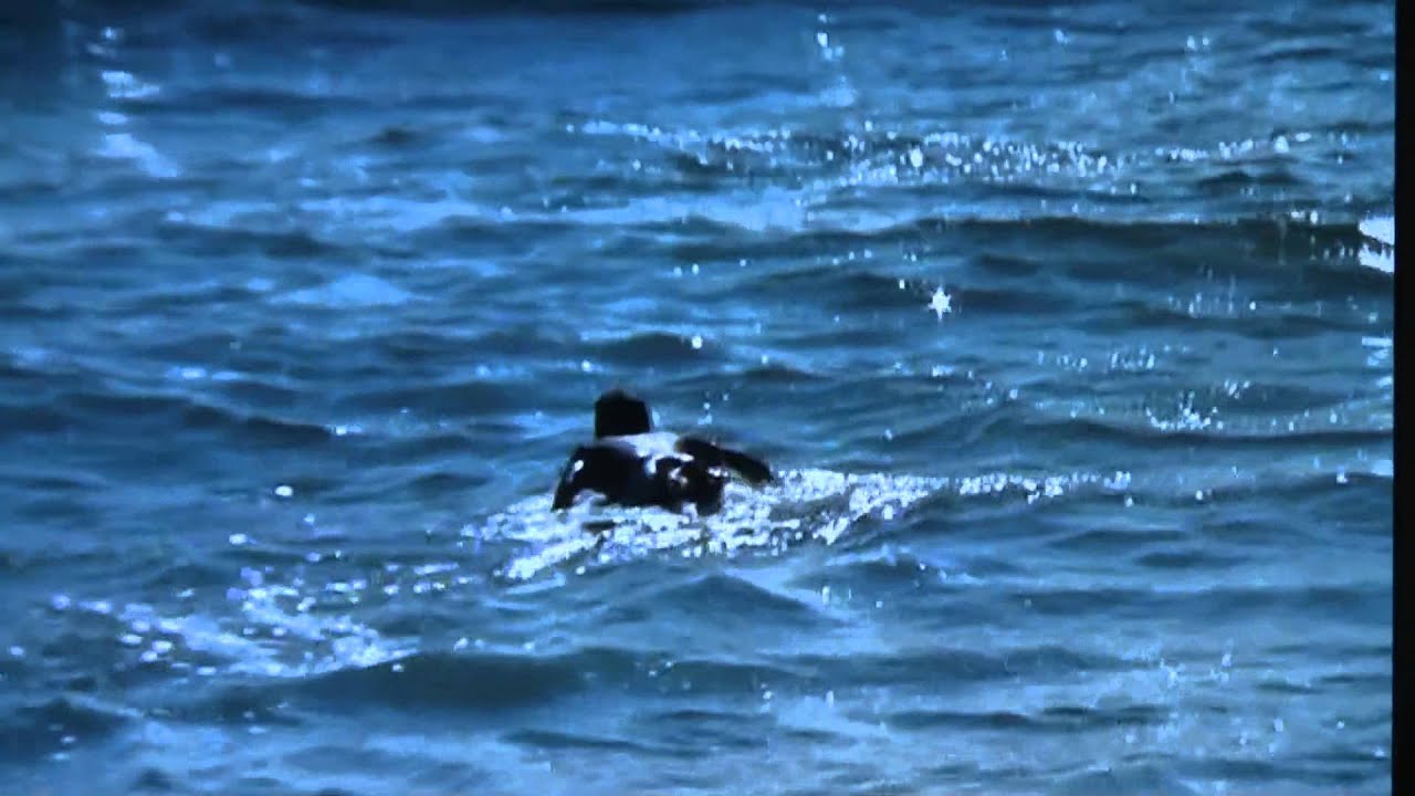 20130609 Rio Ueda - YouTube