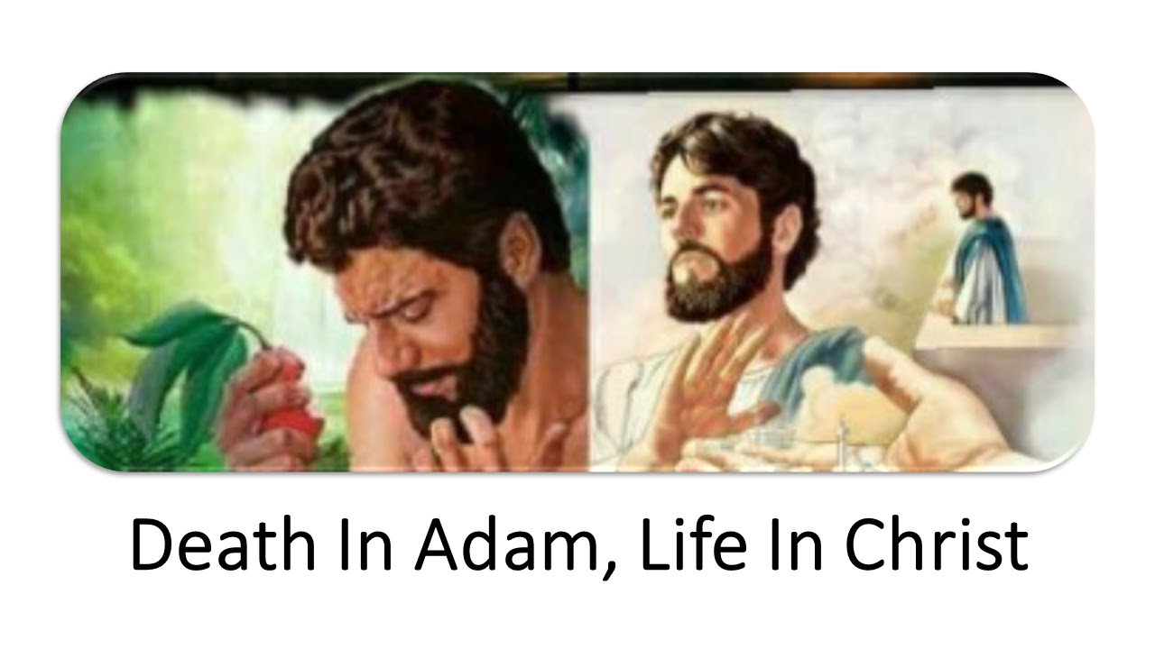 Death In Adam, Life In Christ - YouTube