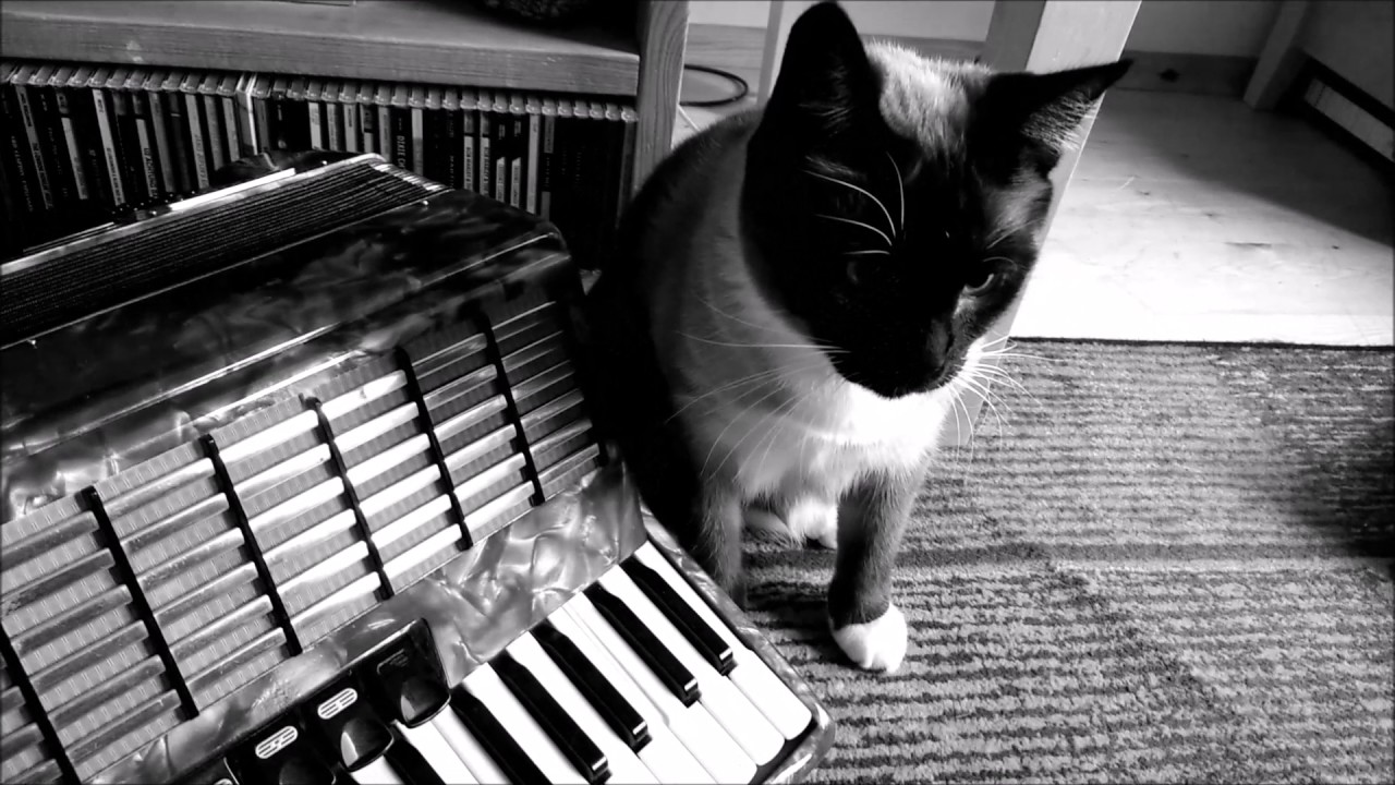 Katiniukas - YouTube