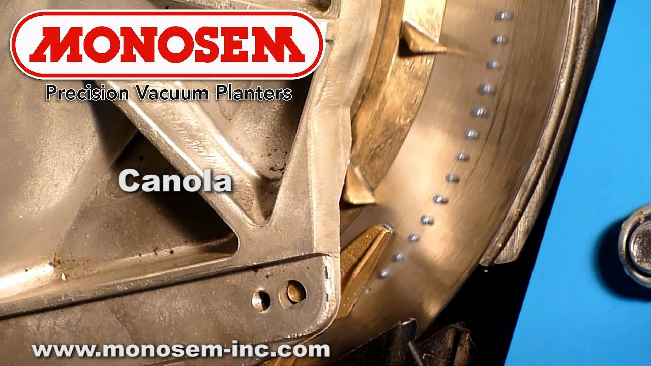 Canola Seed in the Monosem® Precision Meter - YouTube
