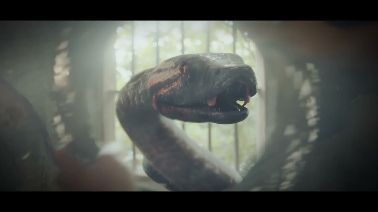 Monster Python - Trailer - YouTube