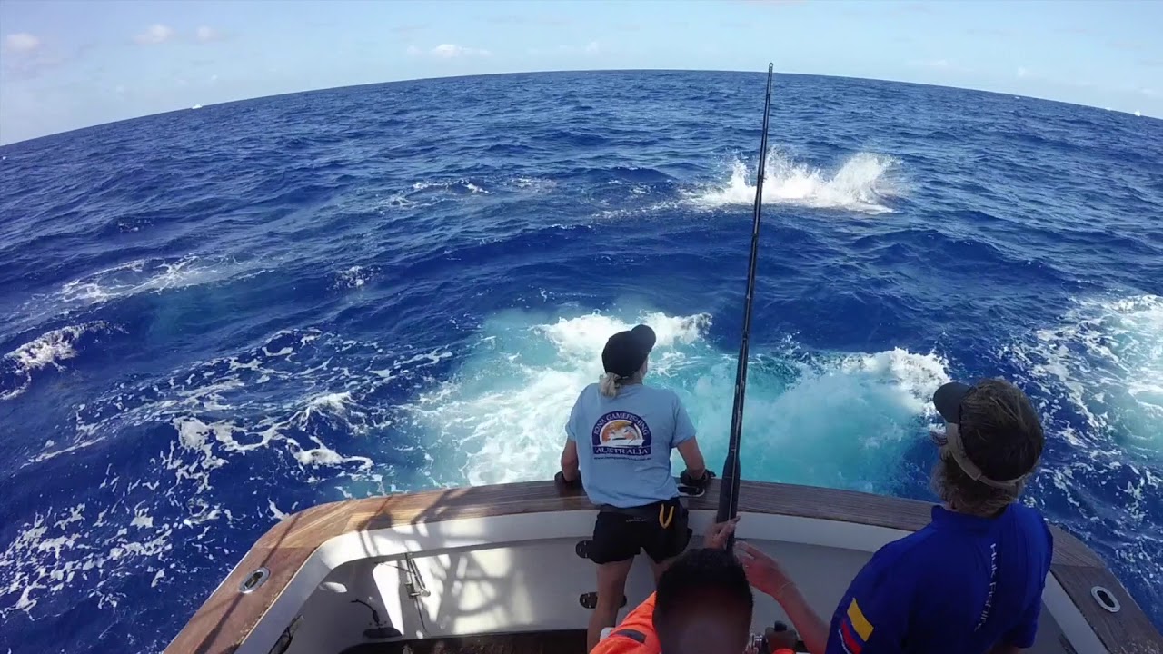 The Great Barrier Reef - Iona II Game Fishing 2018- CL Turner - YouTube