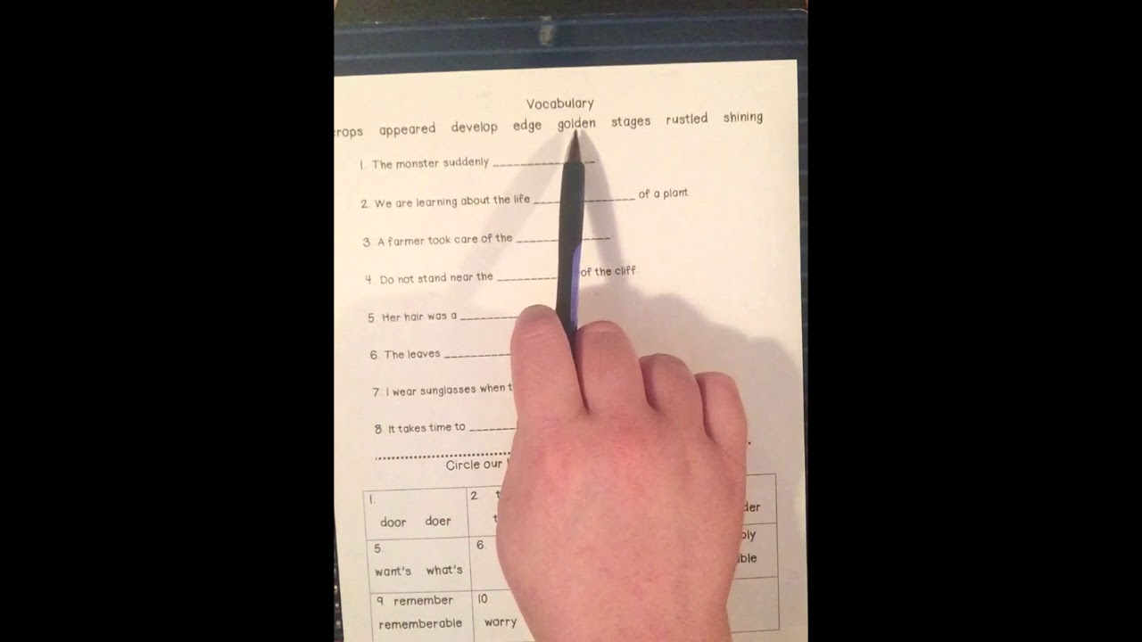 6.1 Day 5 Spelling Test - YouTube