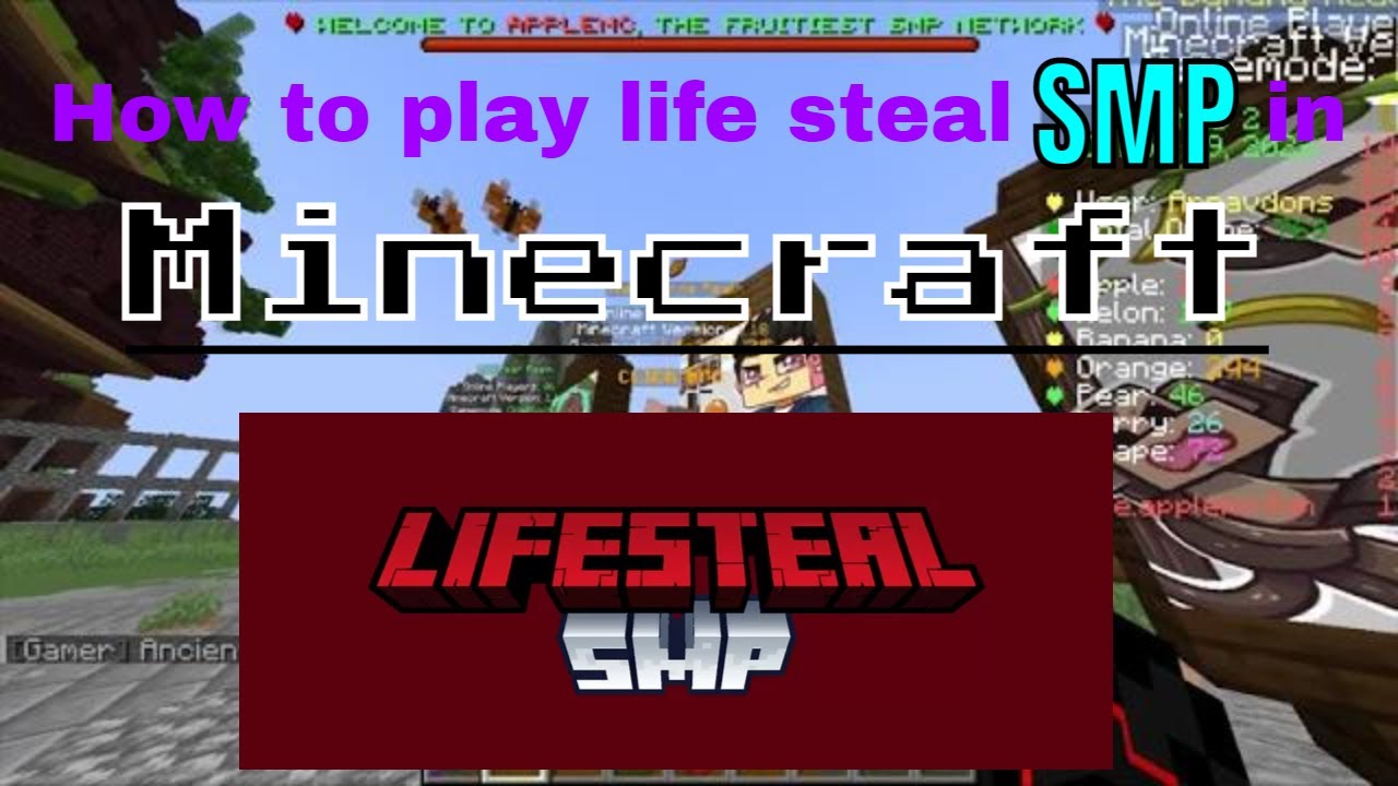 How to play Life steal Smp in Minecraft More details in description ...