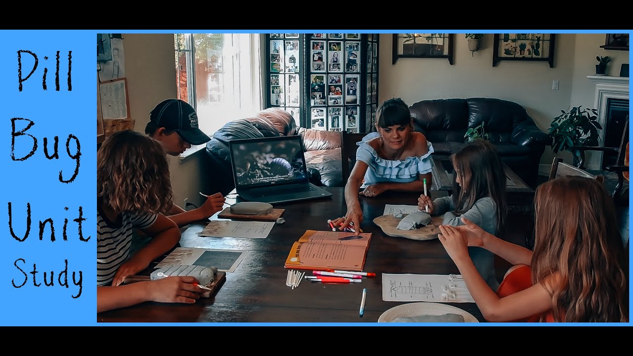 Roly Poly ! Pill Bug Unit study. - YouTube