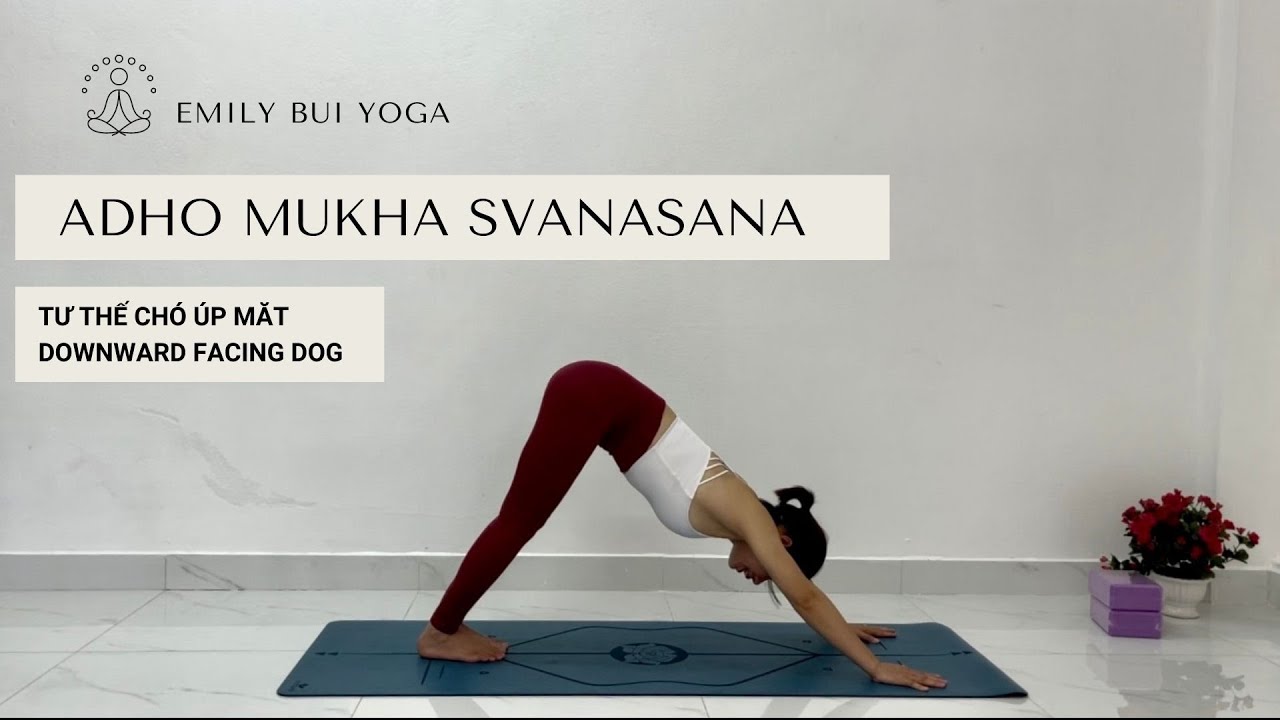 Adho mukha svanasana - tư thế chó úp mặt (downward facing dog) - YouTube