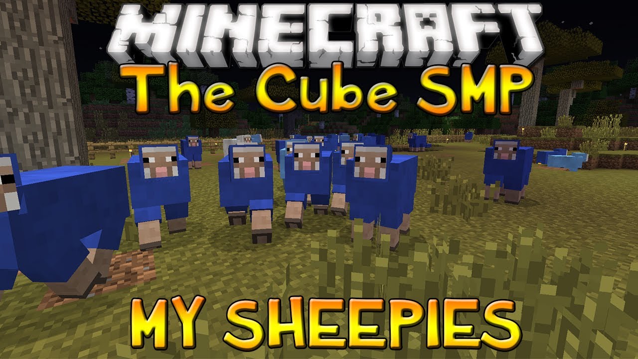 The Cube SMP - Episode 4 - MY SHEEEPIES - YouTube