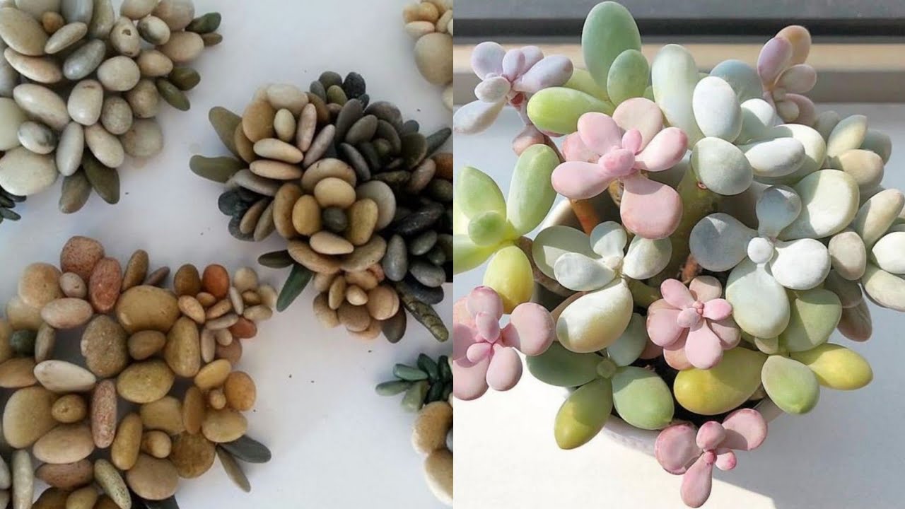 Best Diy 25+Pebble Flower Decorations Ideas||Pebble Art Ideas||Rock Art ...