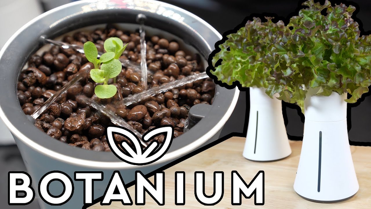 Botanium: Tabletop Hydroponic Planter - YouTube