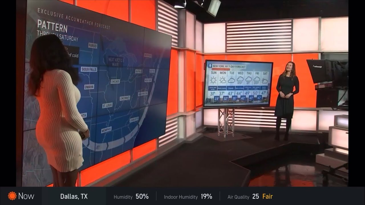 Bree Guy (with Ariella Scalese) January 20, 2024 - YouTube