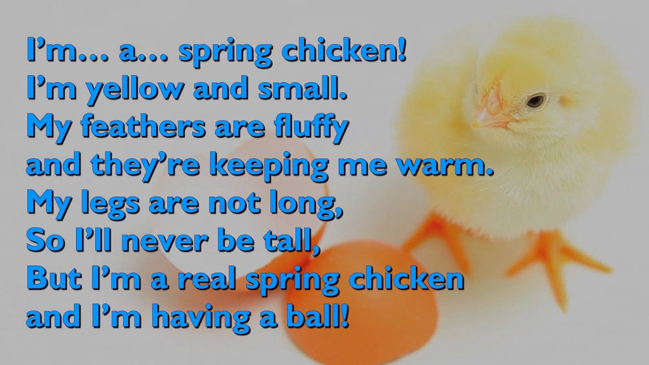 Spring Chicken Song (One Mother Hen) [with lyrics for congregations ...