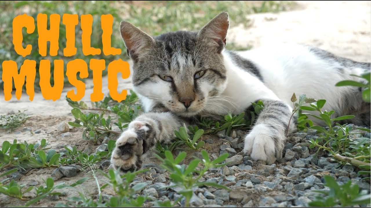 Beautiful Chill Music Mix #1 - YouTube