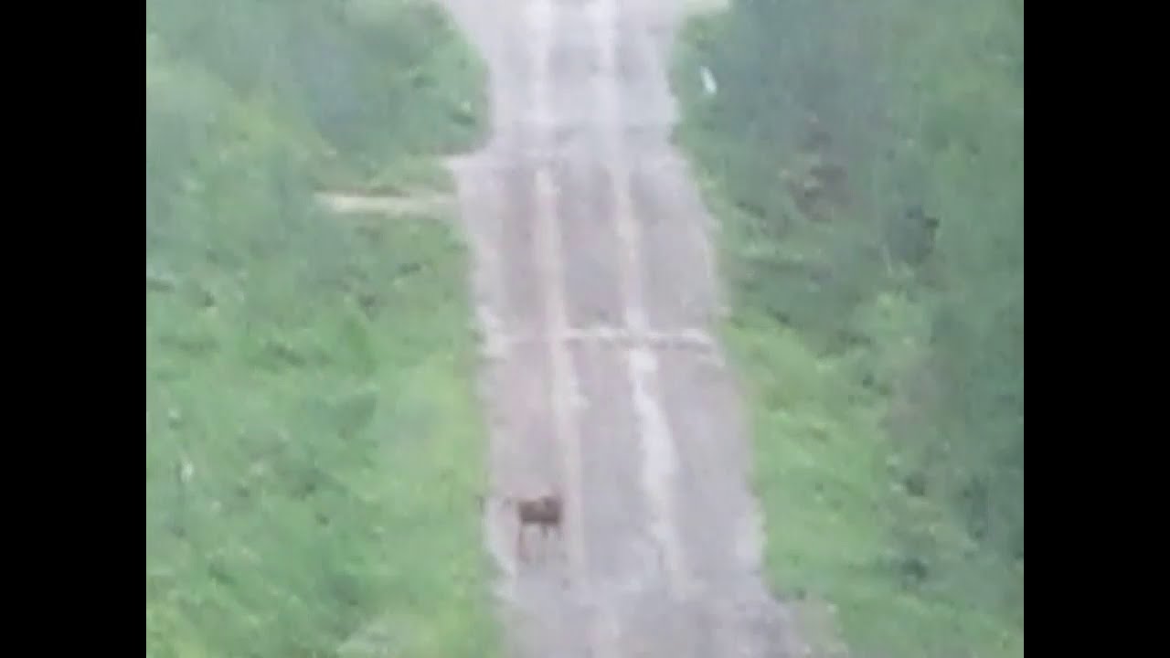 Chopin Study f minor op posth, Kangasala 6.8.2006, Anne Kauppi live ...