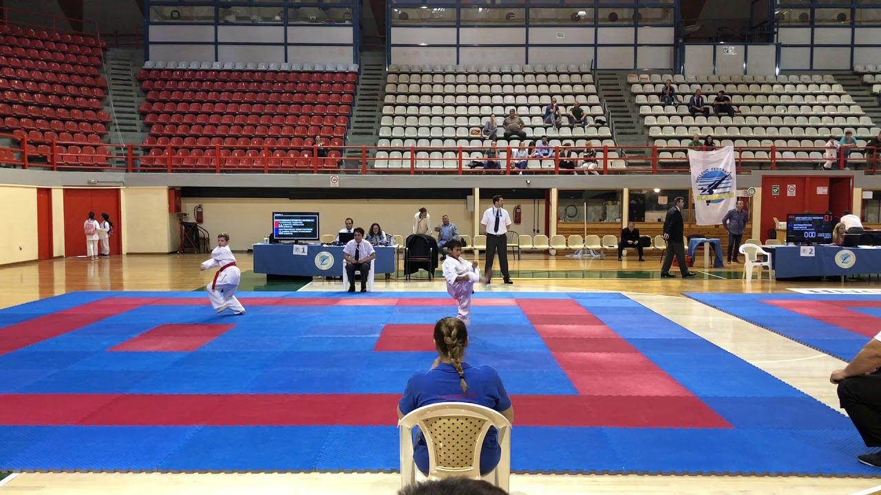 ΚΥΠΕΛΛΟ ΕΓΧΡΩΜΩΝ ΚΑΙ ΜΑΥΡΩΝ ΖΩΝΩΝ 6-5-2018 ΚΛΕΙΣΤΟ ΓΗΠΕΔΟ ΝΕΑΠΟΛΗΣ ...