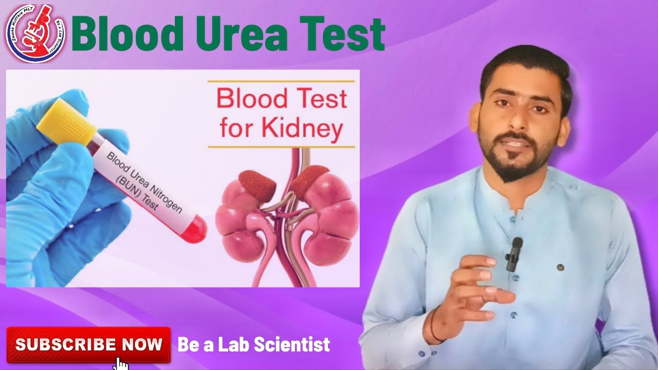 blood urea nitrogen| blood urea test|BUN? - YouTube