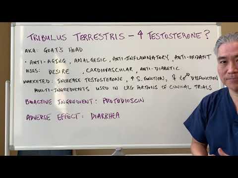 Tribulus Terrestris – 🐐🐐 – Erhöht es den Testosteronspiegel?