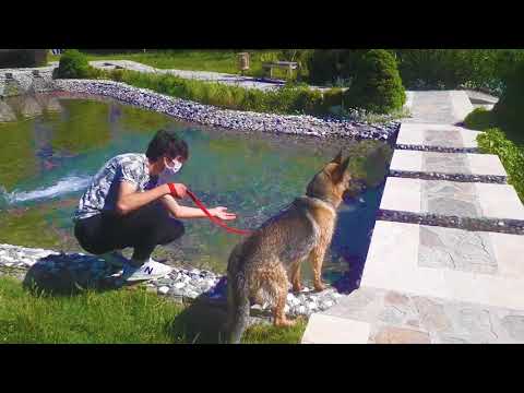 İnci'nin Havuz Keyfi | Alman Kurdu Köpeğimizle Parkta Bir Gün