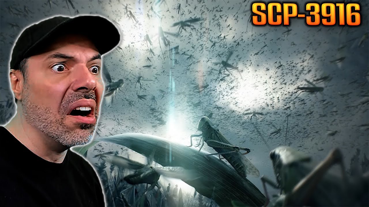 SCP-3916 - Insect Hell (Reaction) - YouTube