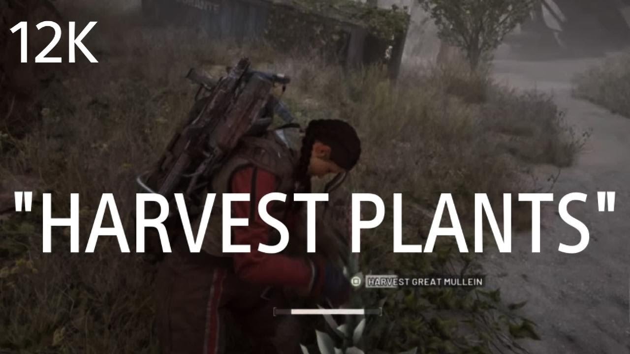 How i got 12K "Harvest Plants" Trial [Solo] - Arc Raiders - YouTube